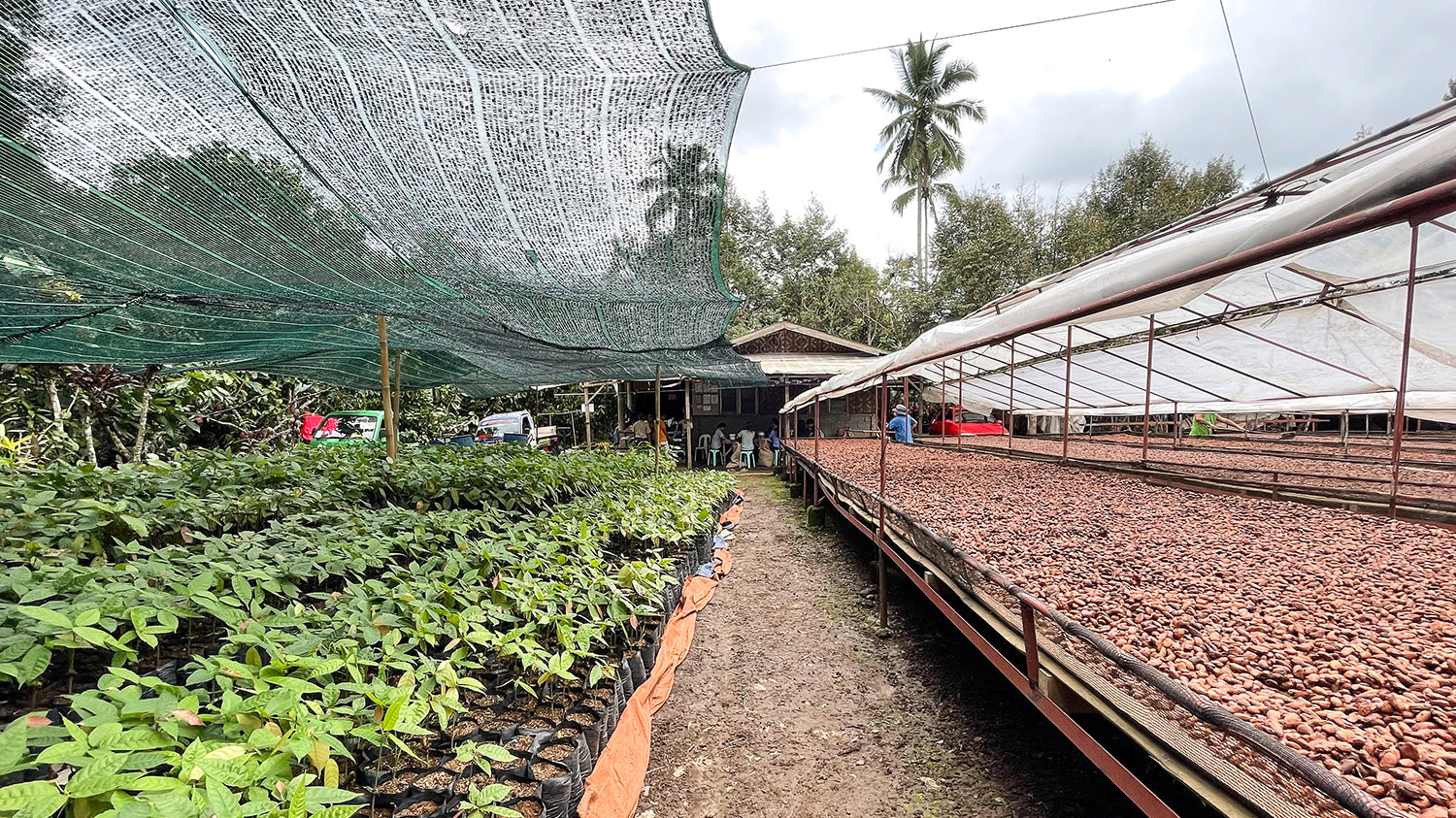 Single Origin Chocolate - Davao, Philippines Chocolate - Askinosie ...